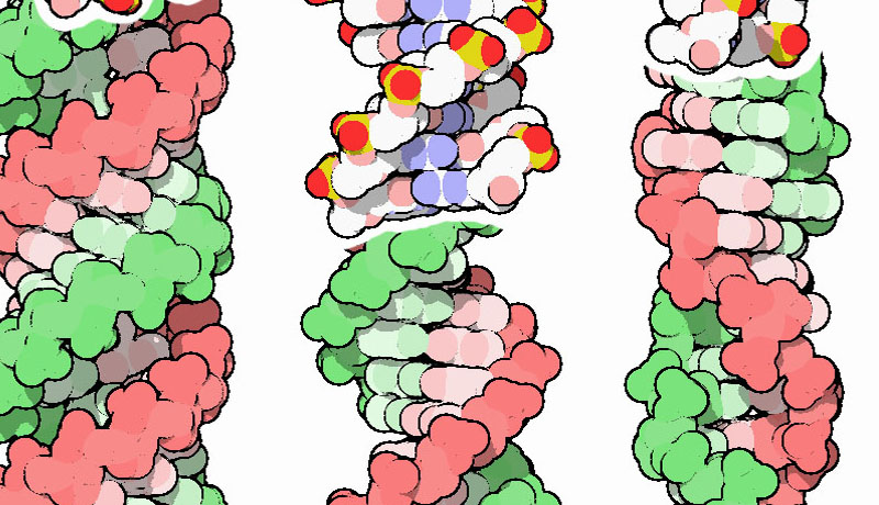 Genetic Code Evolution and Darwin’s Evolution Theory Should Consider ...