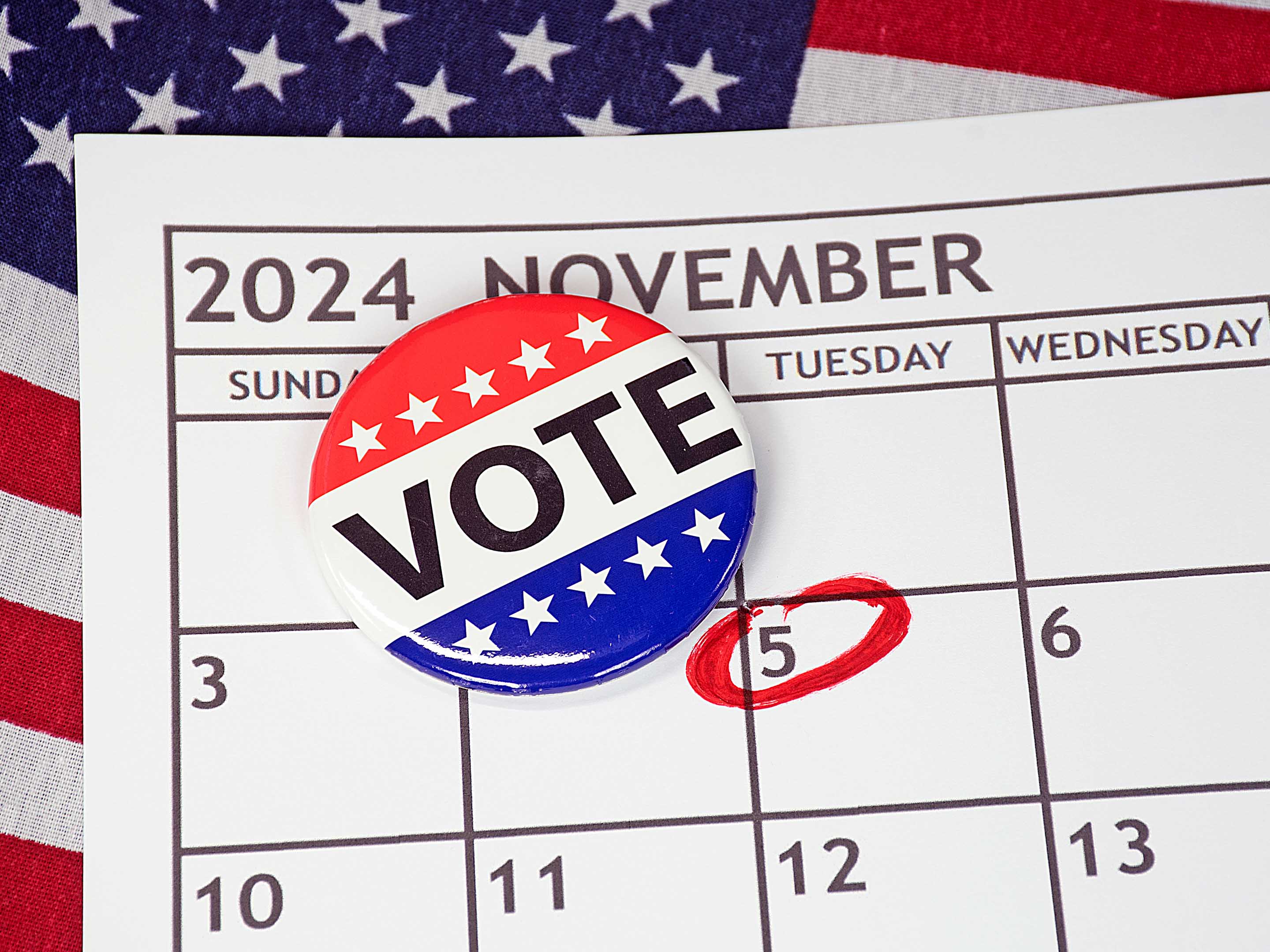 Polling in a Divided Political Climate: What to Expect in the Upcoming ...