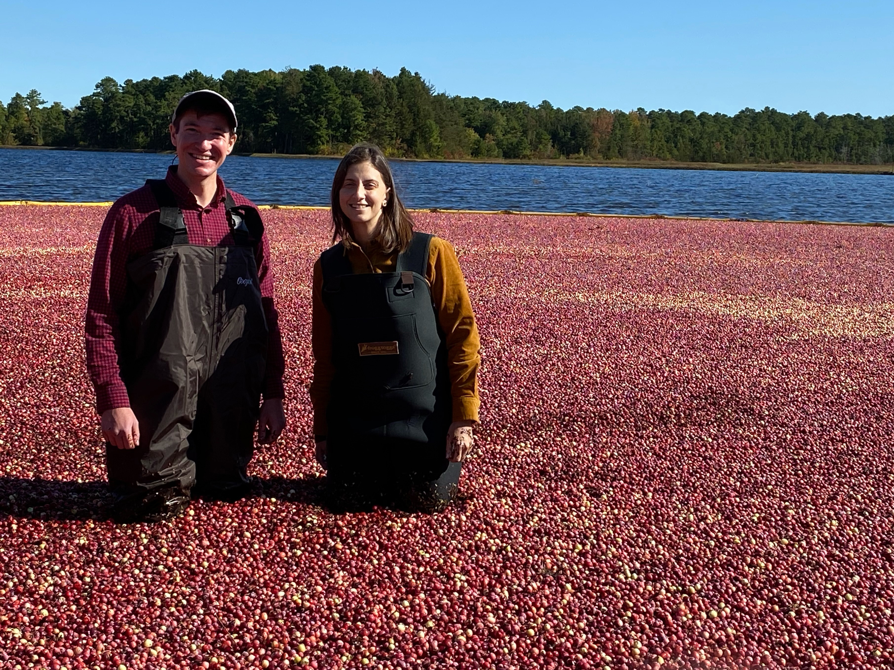 Pass the (Rutgers) Cranberry Sauce | Rutgers University