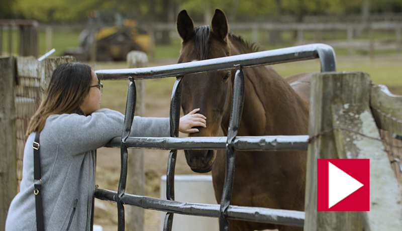 Graduate Discovers Love of Horses at Rutgers | Rutgers University