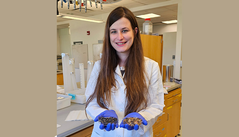 How Beetle Juice Led to the Discovery of a Virus and Solved the Mystery ...