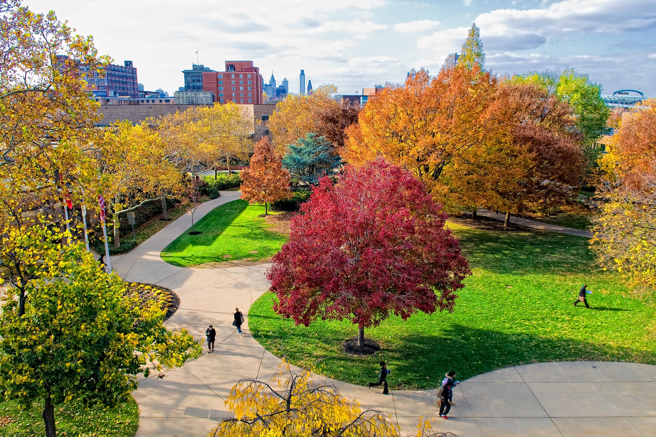 Why Do Leaves Change Color in the Fall? | Rutgers University