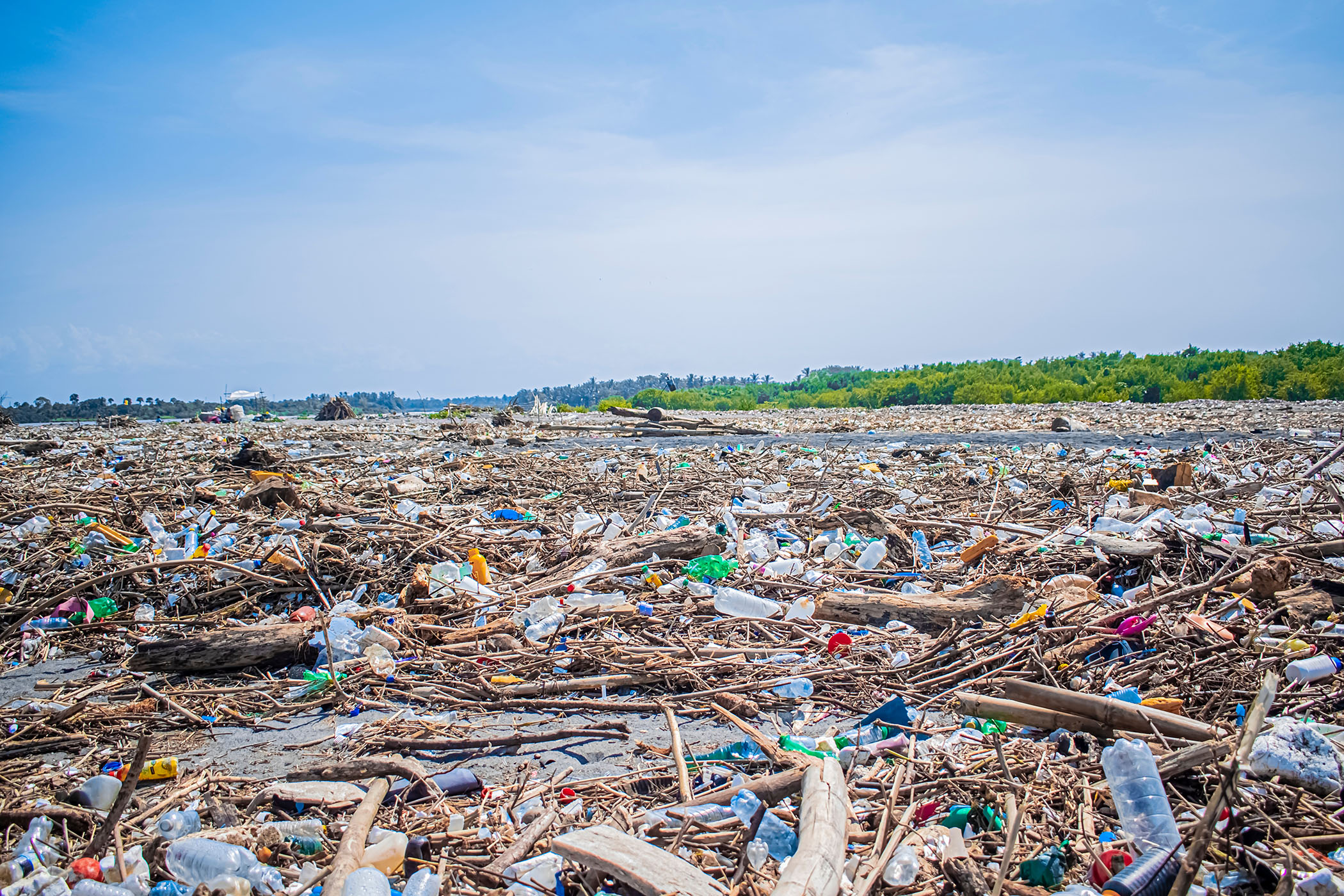 Micro-nano Plastics Make Other Pollutants More Dangerous to Plants and ...