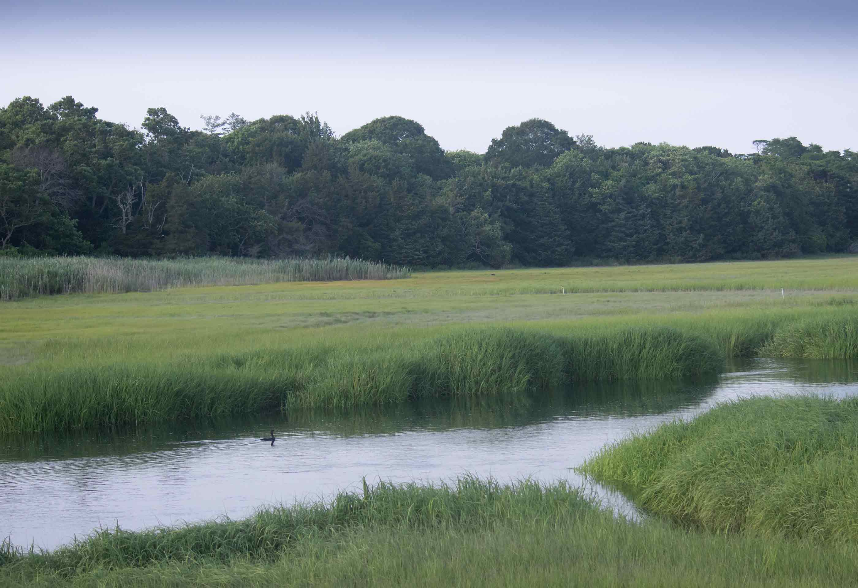 New Jersey Salt Marsh Sediments Offer Evidence of Hurricanes Back to ...