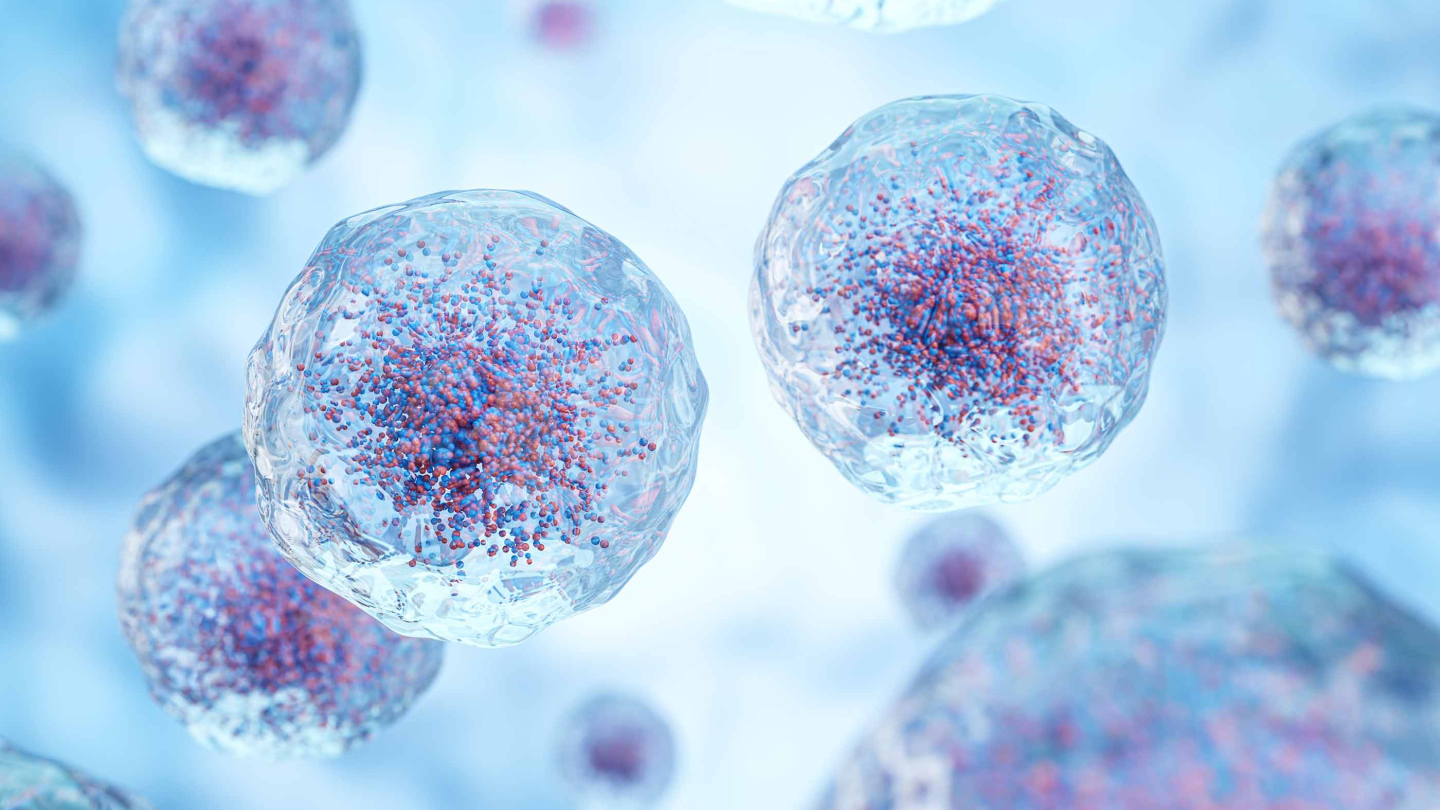 Rutgers Researcher, Through Spinoff, Develops a Handheld White Blood ...