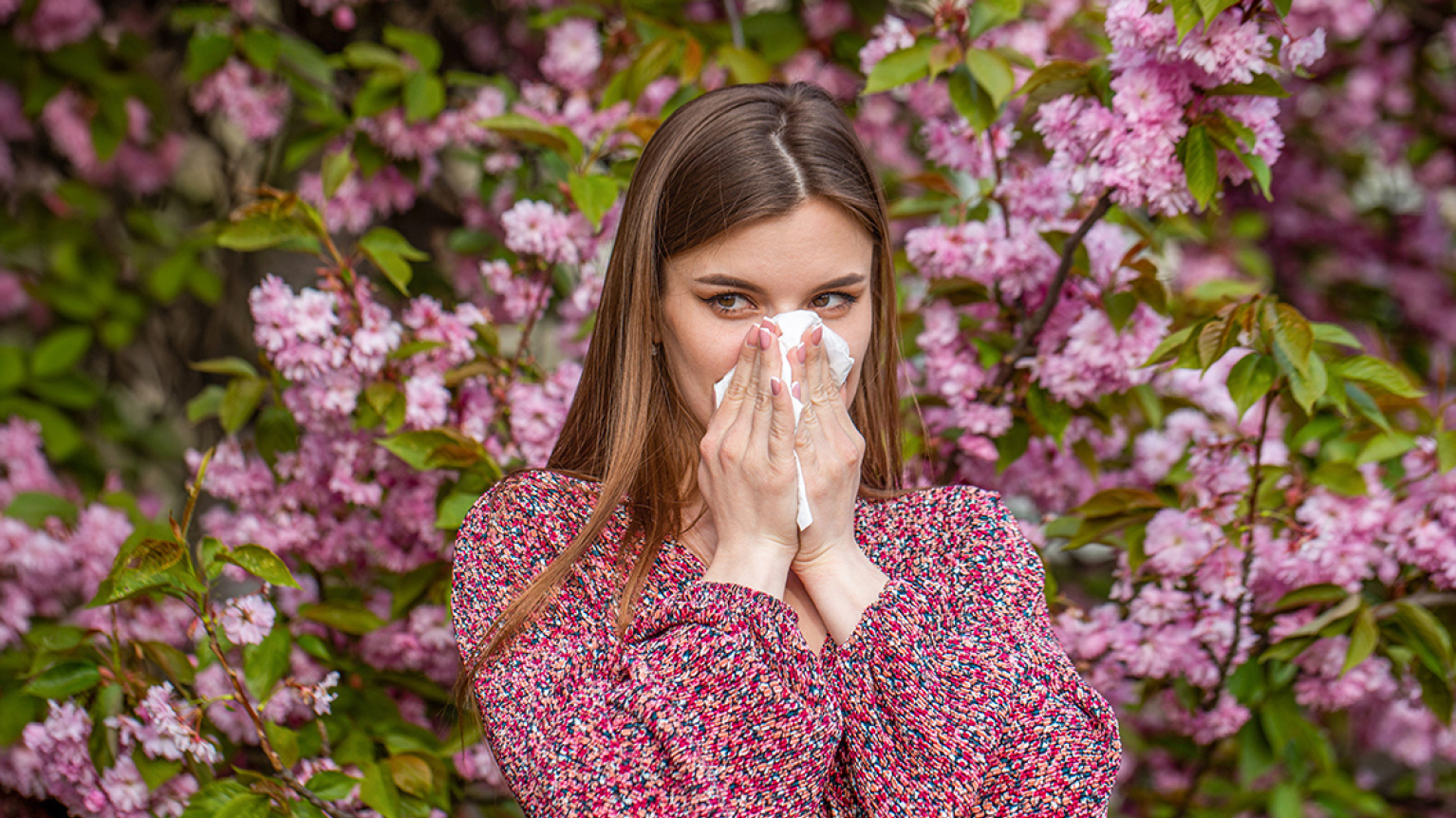 With Spring in Bloom, Here’s How to Navigate Allergies | Rutgers University