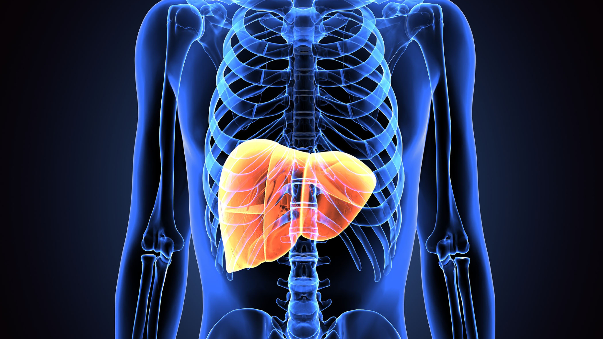 A Common Antihistamine Shows Promise in Treating Liver Complications of ...