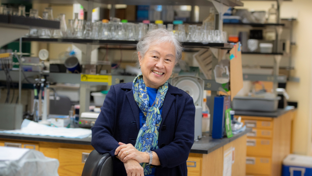 Faculty Excellence | Rutgers University