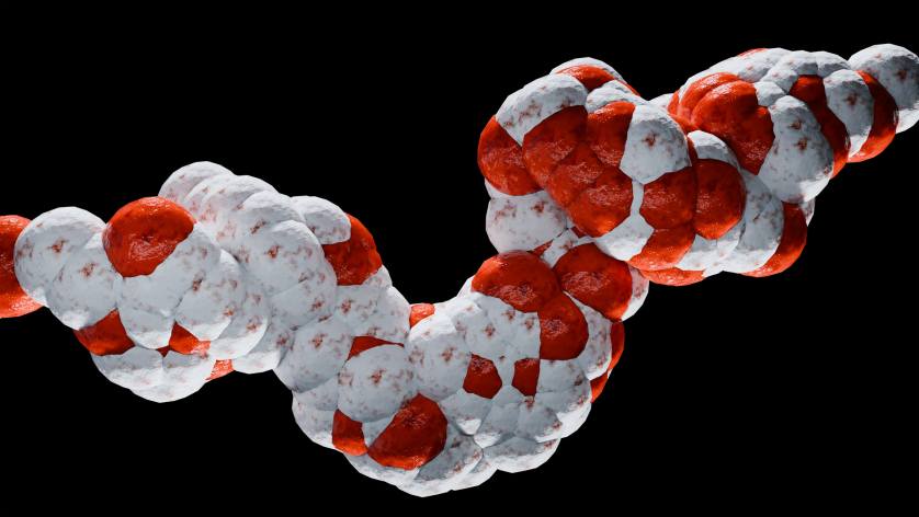 Matthew Young Appointed Harold H. Martin Professor of Mathematics ...