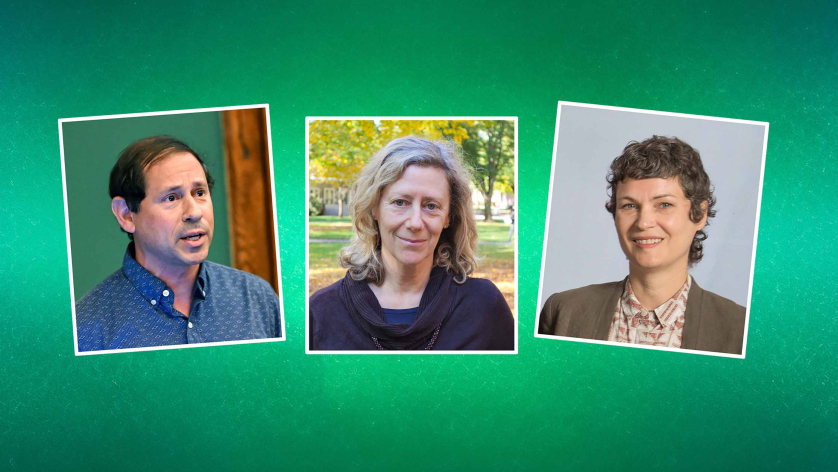 Scientists Witness Plant Cells Generate Cellulose and Form Cell Walls ...