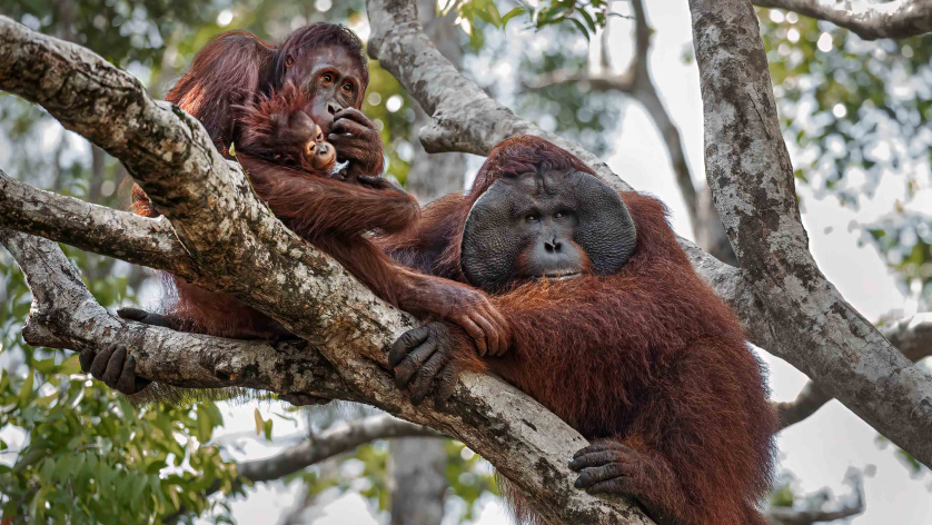 Scientists Discover New Quantum State at the Intersection of Exotic ...