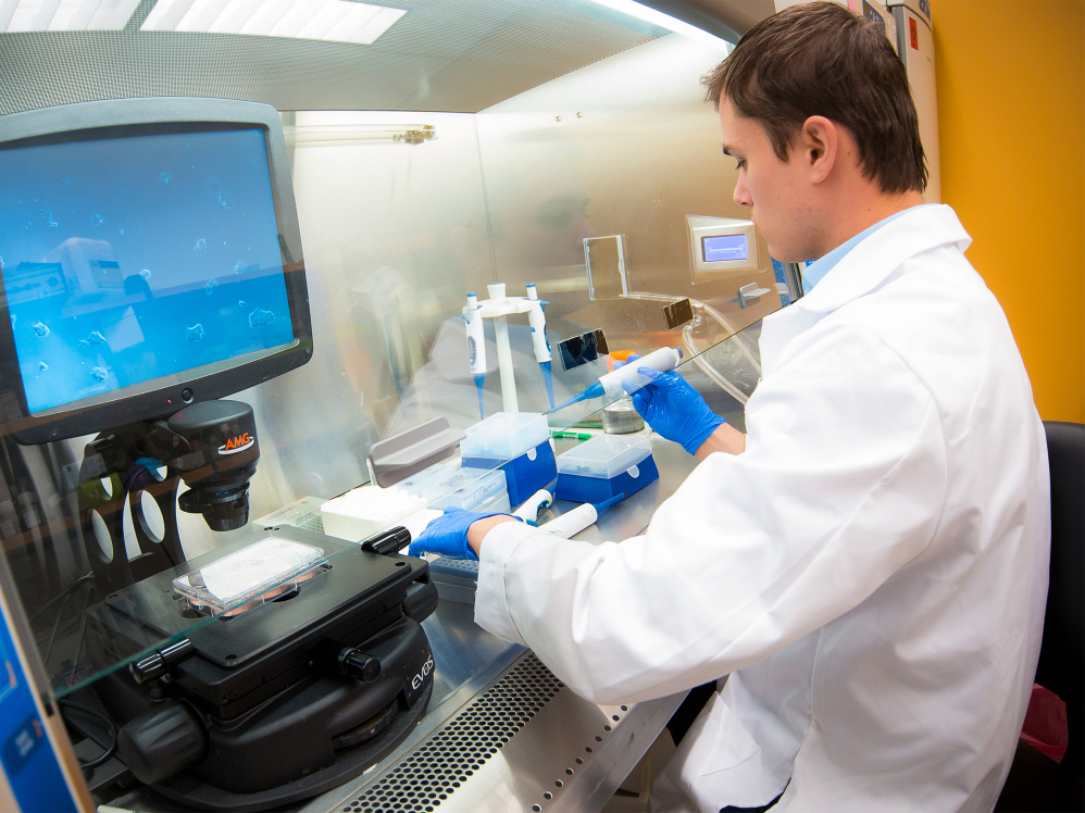 Robert Wood Johnson Medical School (RWJMS) | Rutgers University