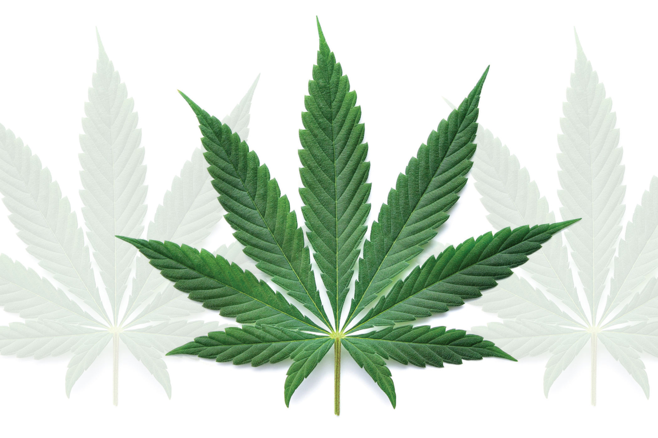 The Meaning of Marijuana | Rutgers University