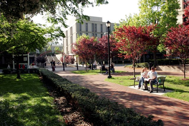 Gain An Edge Over The Competition Through Summer Studies at Rutgers ...