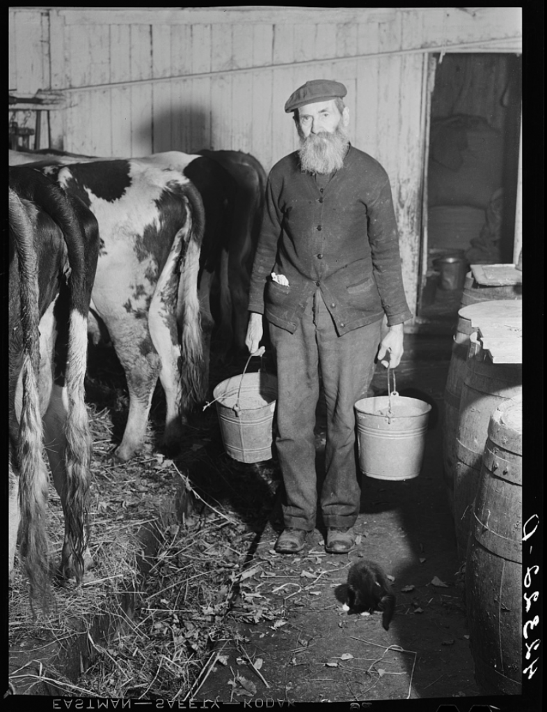 The History of Jewish Farming in New Jersey | Rutgers University