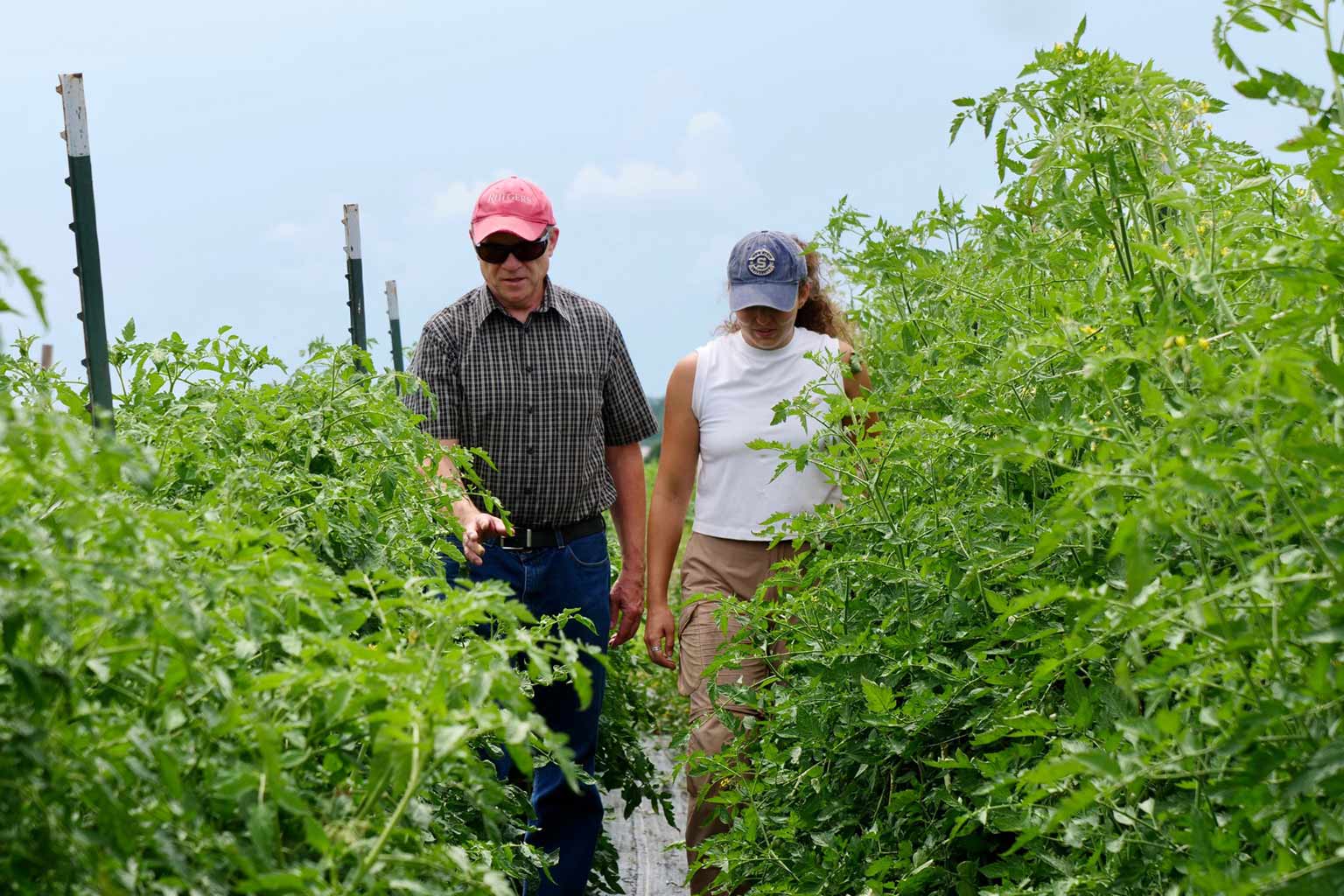 At Rutgers, RU Ready to Farm Program Bears Fruit | Rutgers University